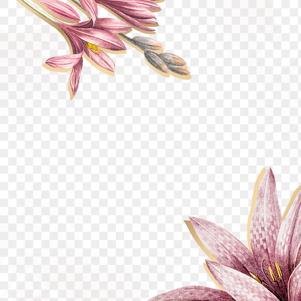 Flower png border, transparent background | Free PNG - rawpixel