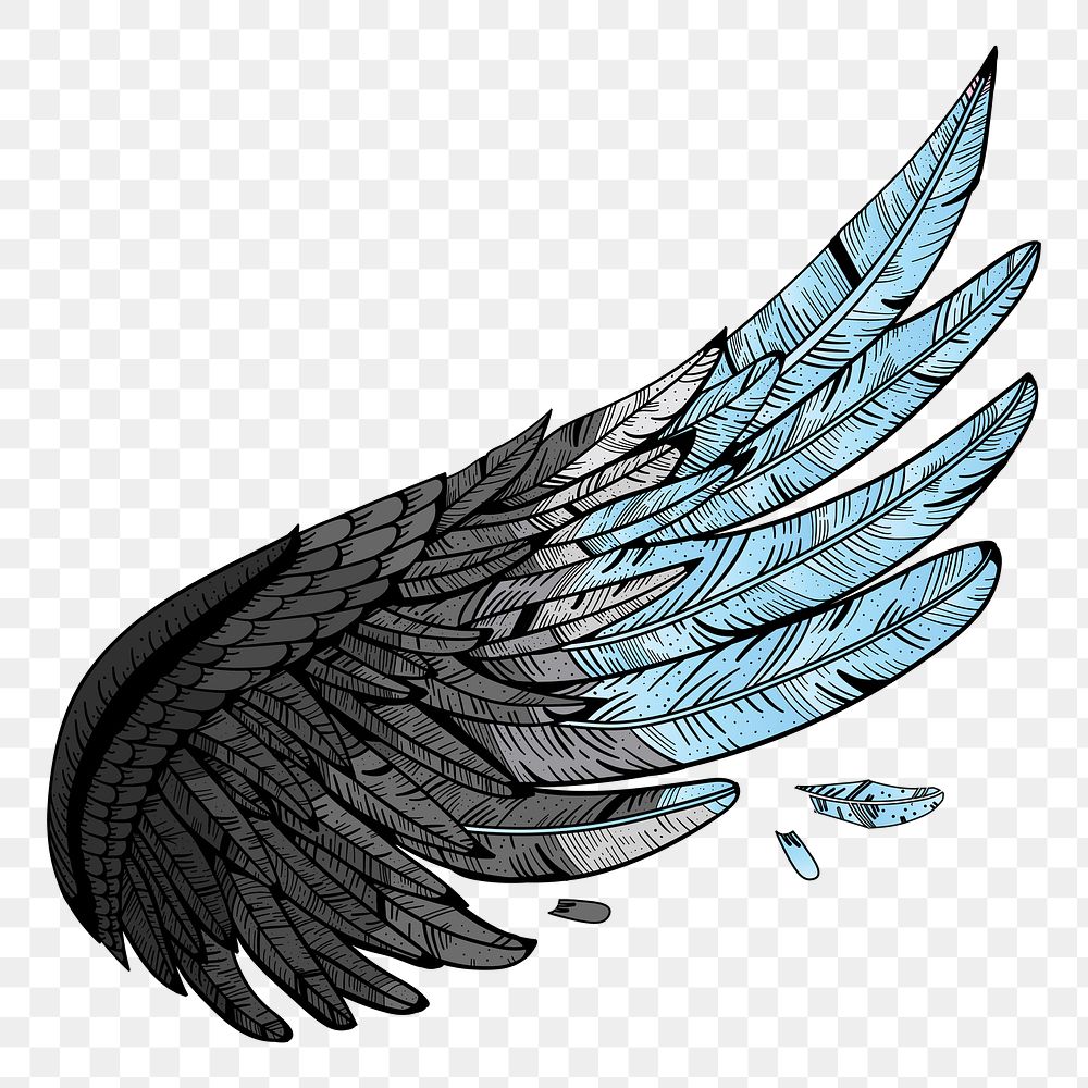 Wing png illustration, transparent background | Free PNG Illustration ...
