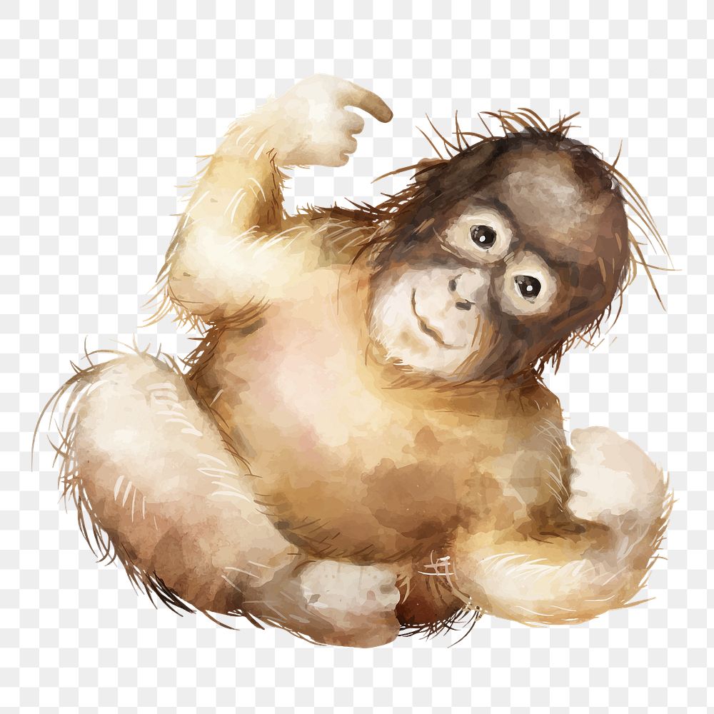 Watercolor Orangutan Images | Free Photos, PNG Stickers, Wallpapers ...