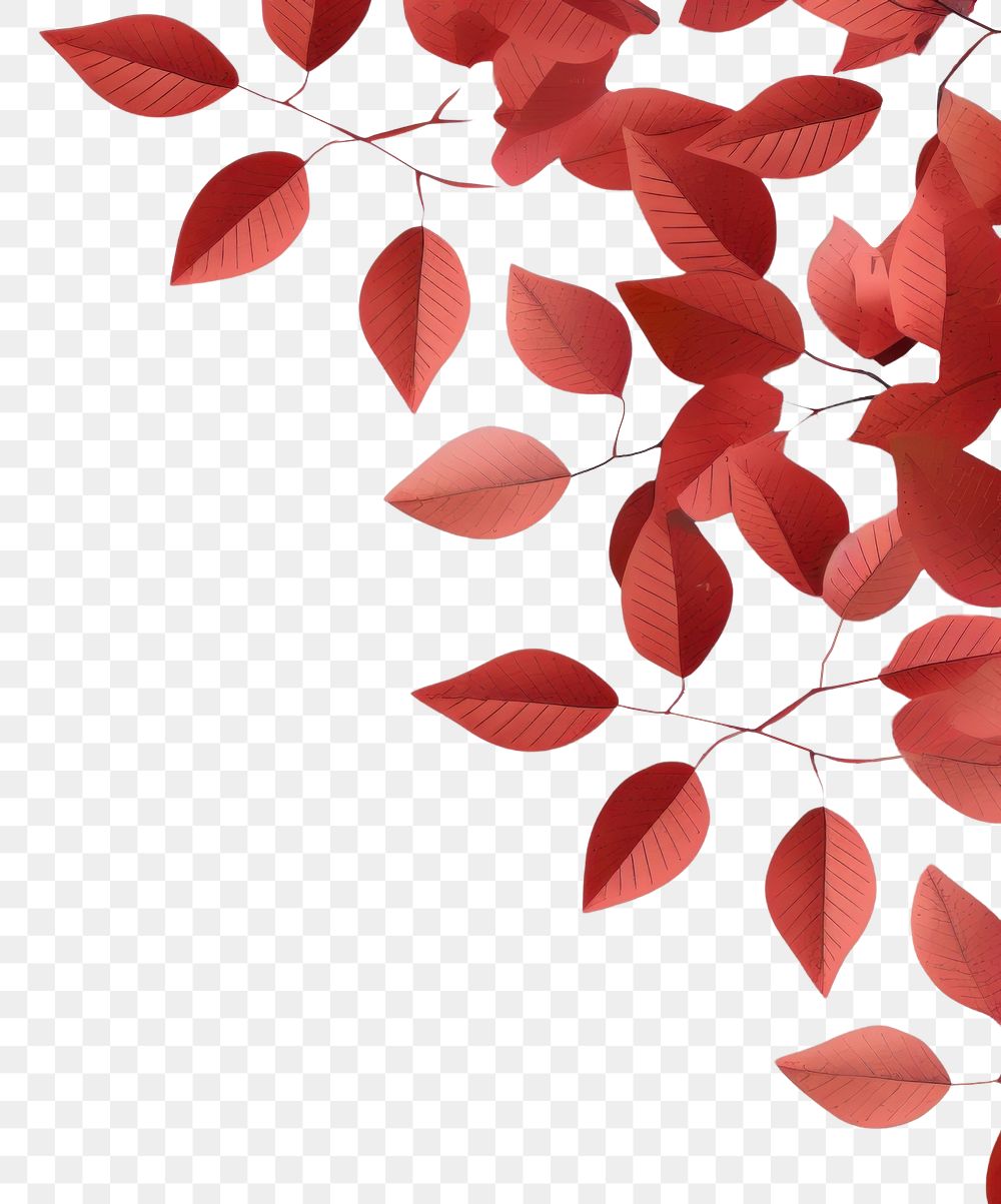 PNG Leaves pattern plant leaf. | Premium PNG - rawpixel