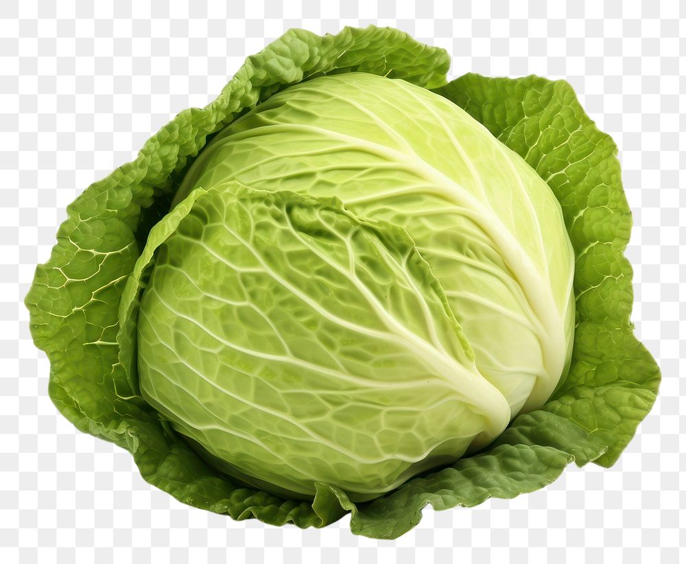 PNG Cabbage cabbage vegetable plant | Free PNG - rawpixel