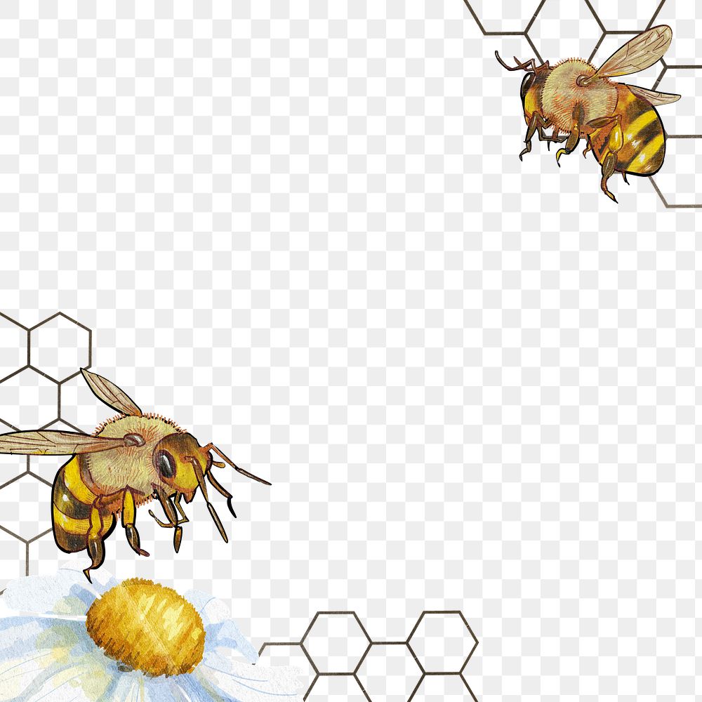 Bees flower border png, transparent | Premium PNG - rawpixel
