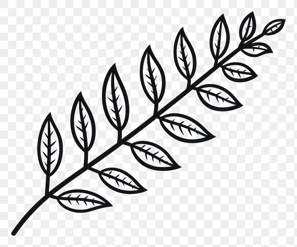 PNG Leaf pattern drawing sketch. | Premium PNG - rawpixel