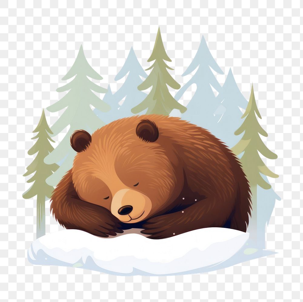 PNG bear hibernating wildlife mammal | Free PNG - rawpixel
