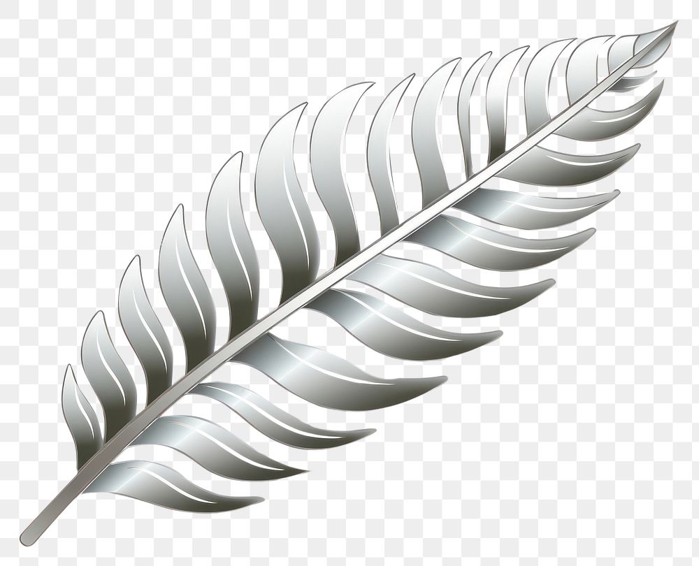 PNG Silver fern silver plant | Premium PNG - rawpixel