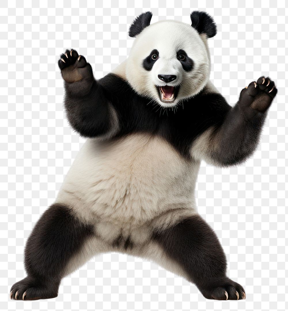 PNG Happy smiling panda dancing | Free PNG - rawpixel