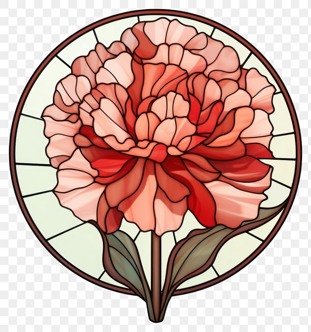 PNG Glass Carnation carnation flower | Free PNG - rawpixel