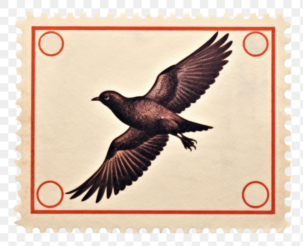 PNG Flying bird animal postage | Free PNG - rawpixel