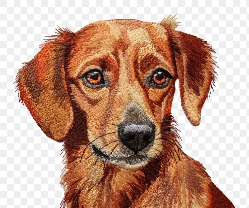 Golden Paper PNG Images | Free Photos, PNG Stickers, Wallpapers ...