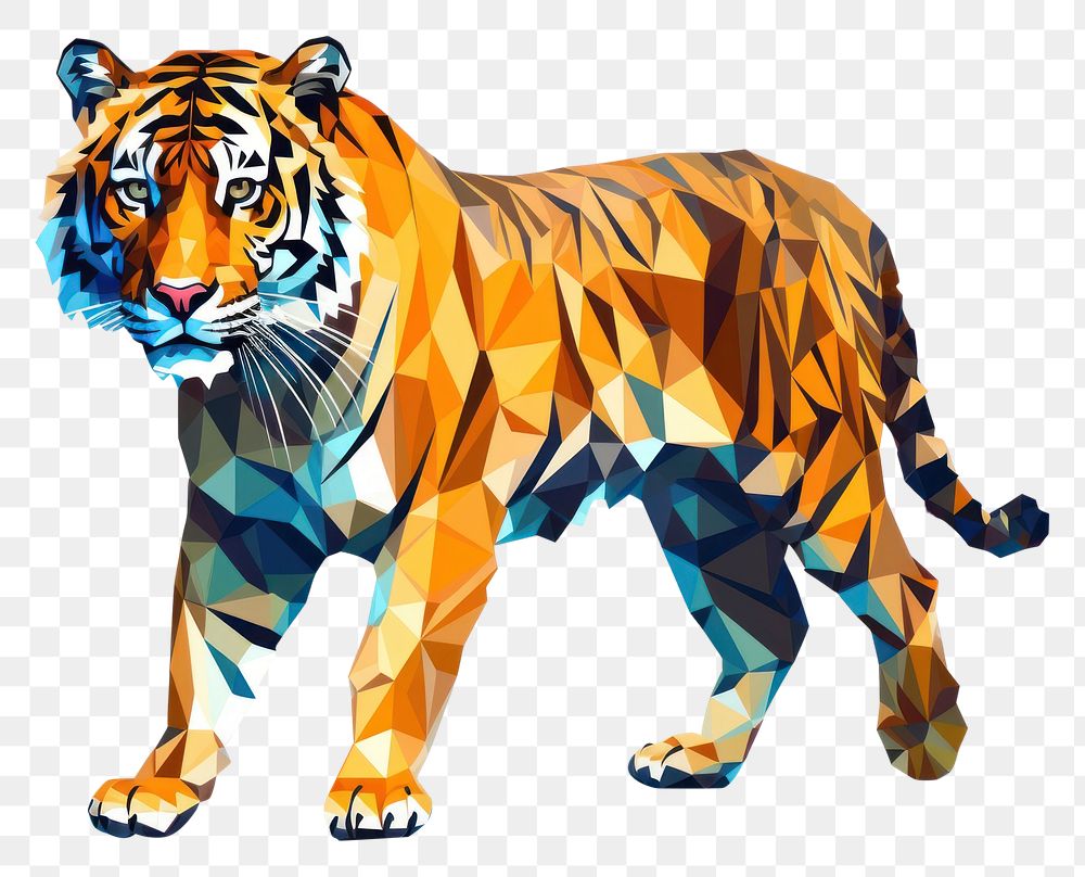 PNG Tiger wildlife animal mammal. | Free PNG - rawpixel