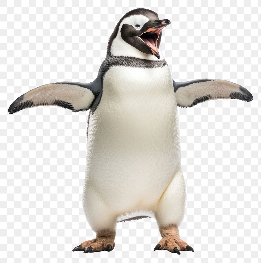 PNG Happy smiling dancing penguin | Free PNG - rawpixel