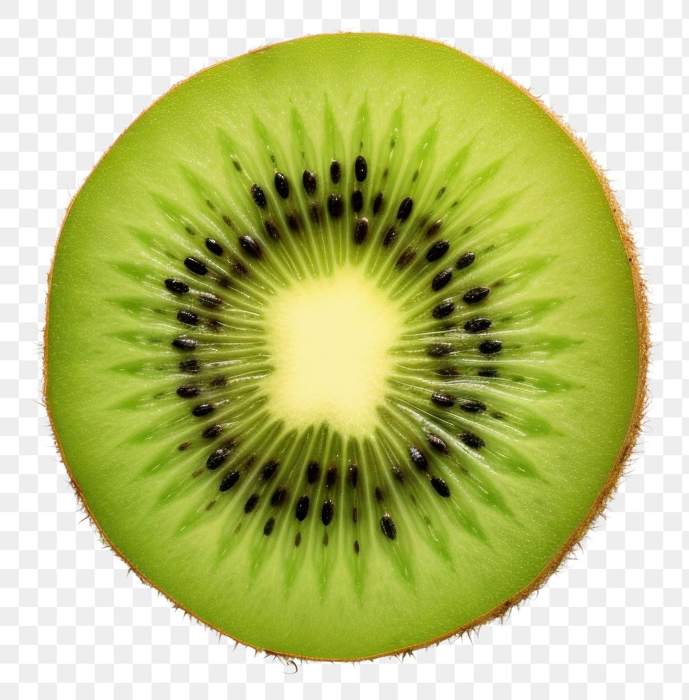 PNG Kiwi slice fruit plant | Premium PNG - rawpixel