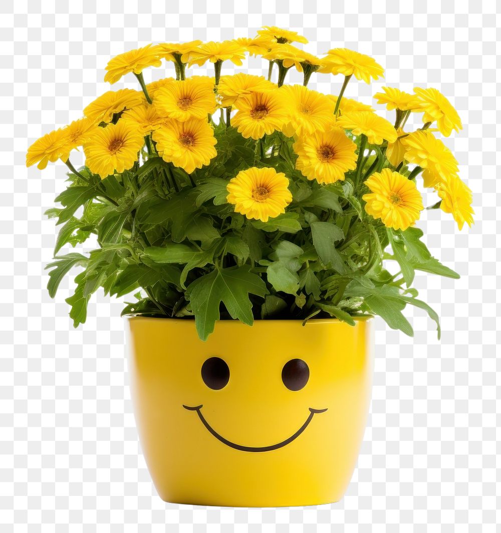 PNG Smile flower plant vase. | Premium PNG - rawpixel