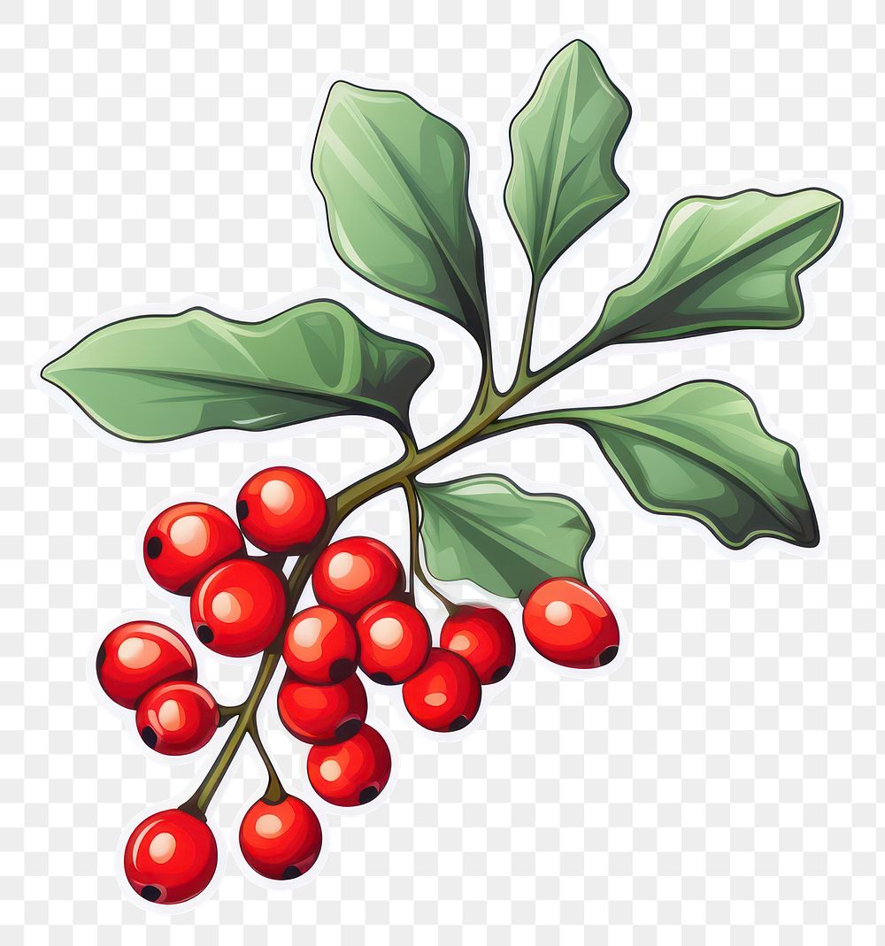 PNG Cute mistletoe cherry plant | Premium PNG - rawpixel