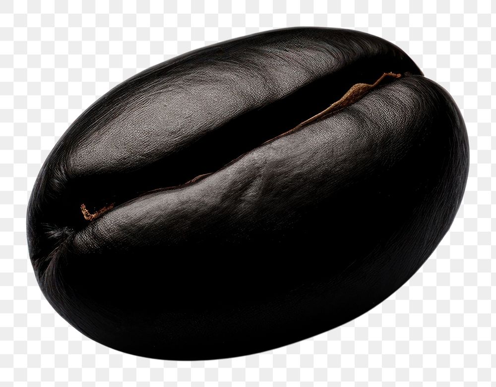 Ice Bean Images | Free Photos, PNG Stickers, Wallpapers & Backgrounds ...