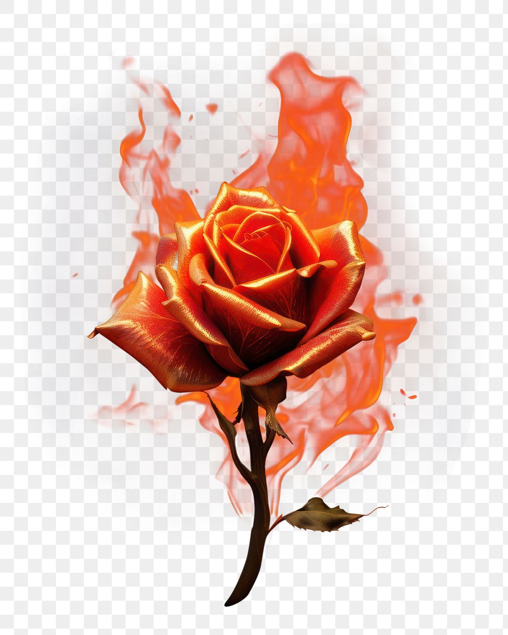 PNG Rose fire rose burning | Free PNG - rawpixel