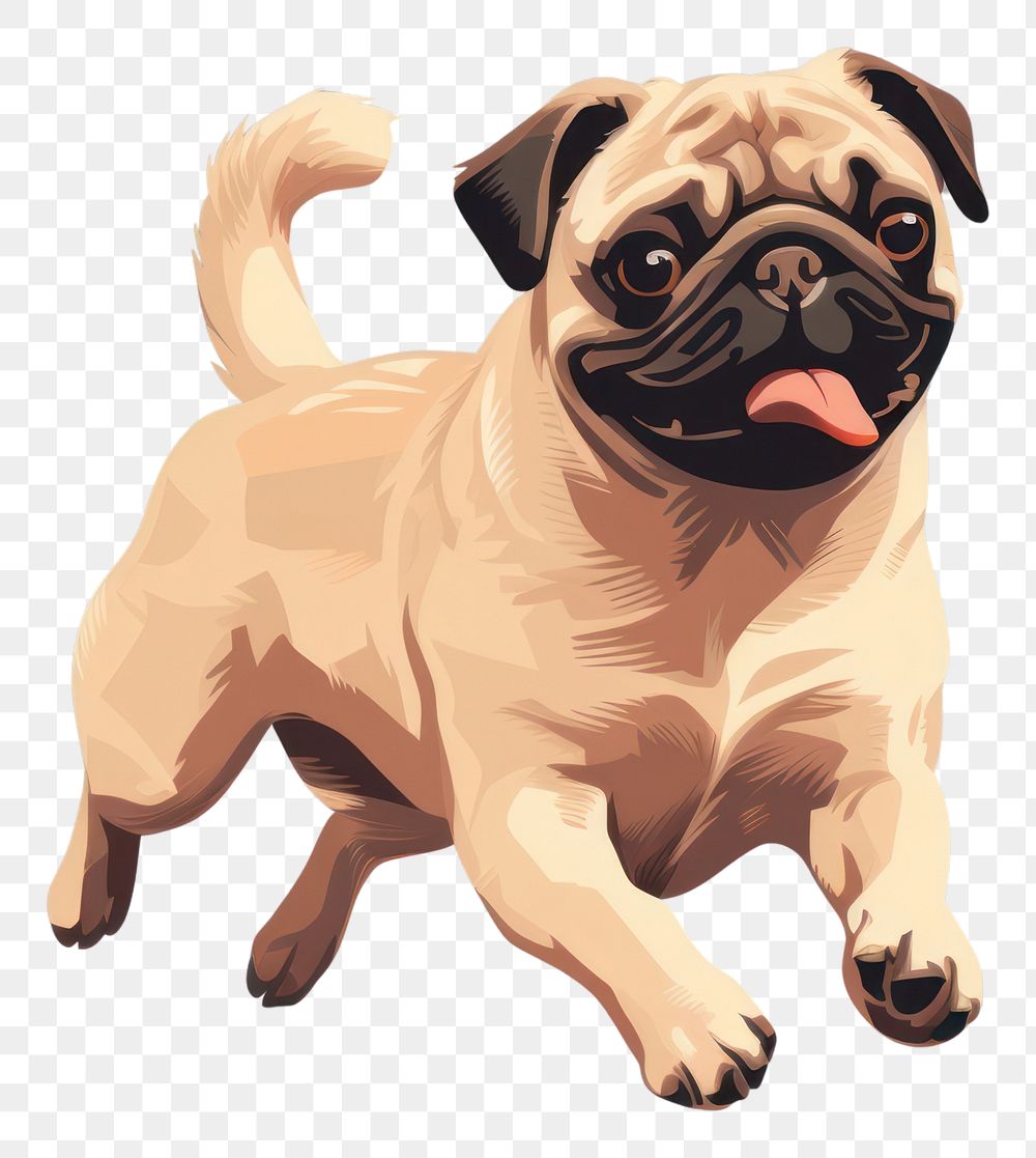 PNG Pug running animal mammal | Free PNG - rawpixel