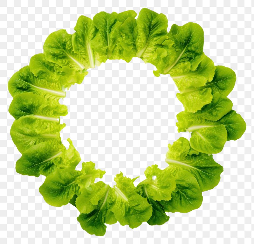 PNG Lettuce vegetable plant food. | Free PNG - rawpixel
