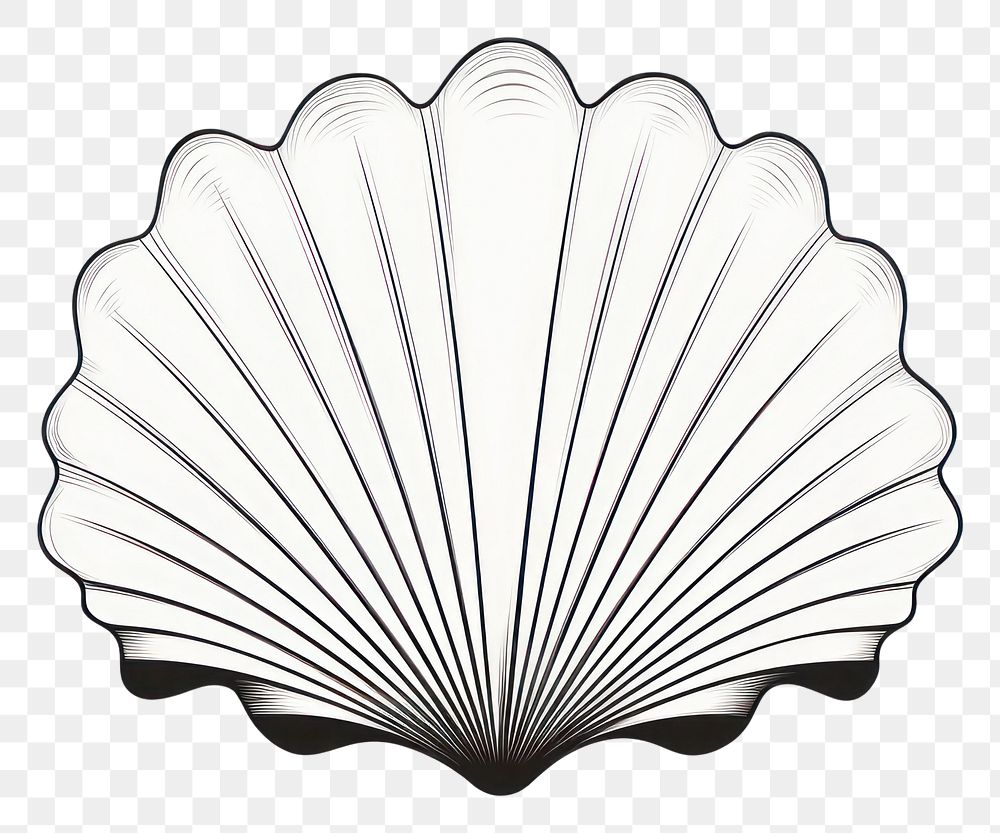 PNG Seashell clam white background | Free PNG - rawpixel