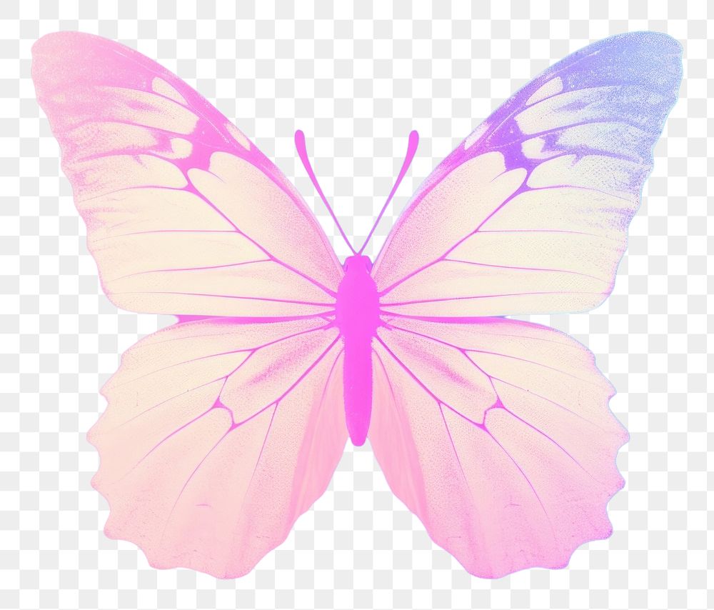 PNG Butterfly shadow purple insect | Free PNG - rawpixel