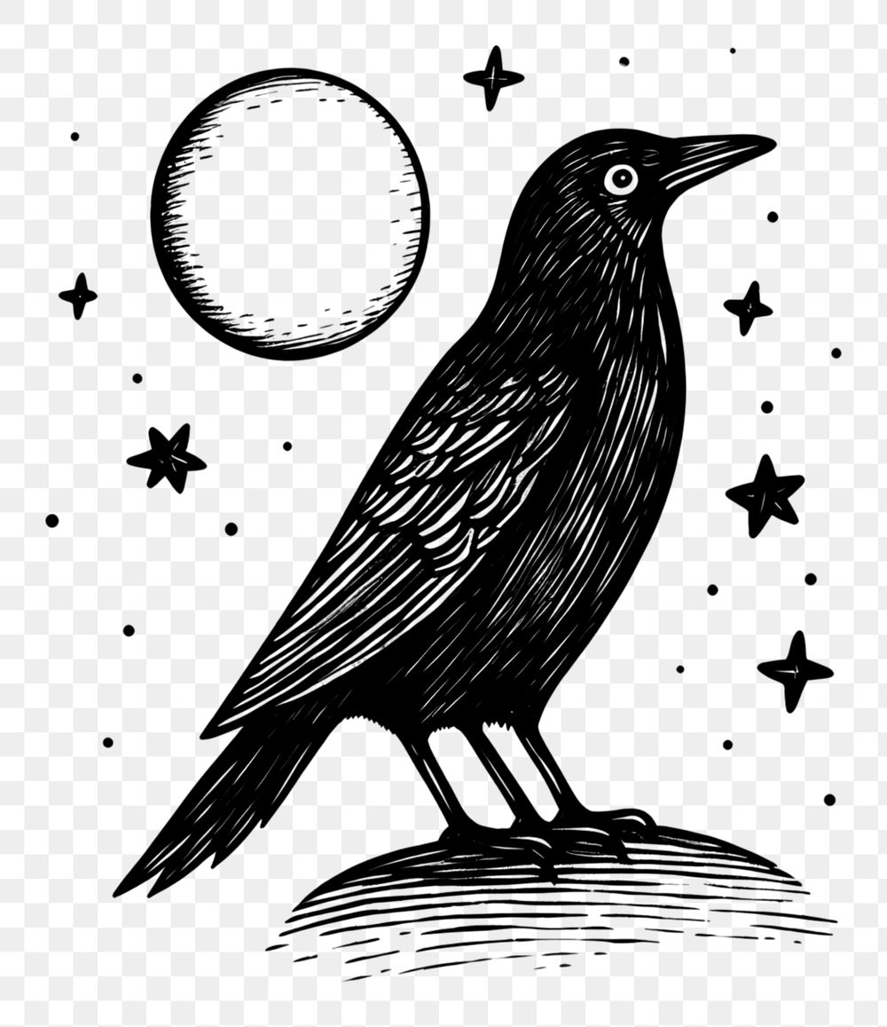 PNG Crow drawing sketch bird. | Free PNG - rawpixel