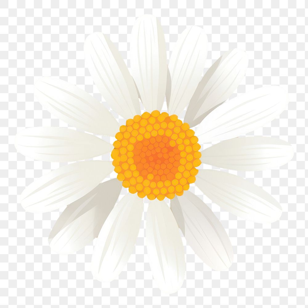 PNG Daisy flower icon daisy | Free PNG - rawpixel