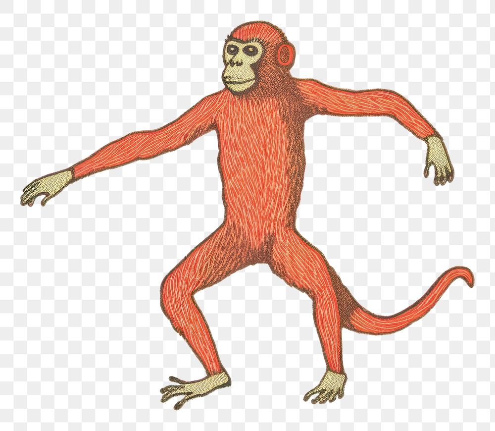 PNG Monkey dancing wildlife animal | Free PNG - rawpixel