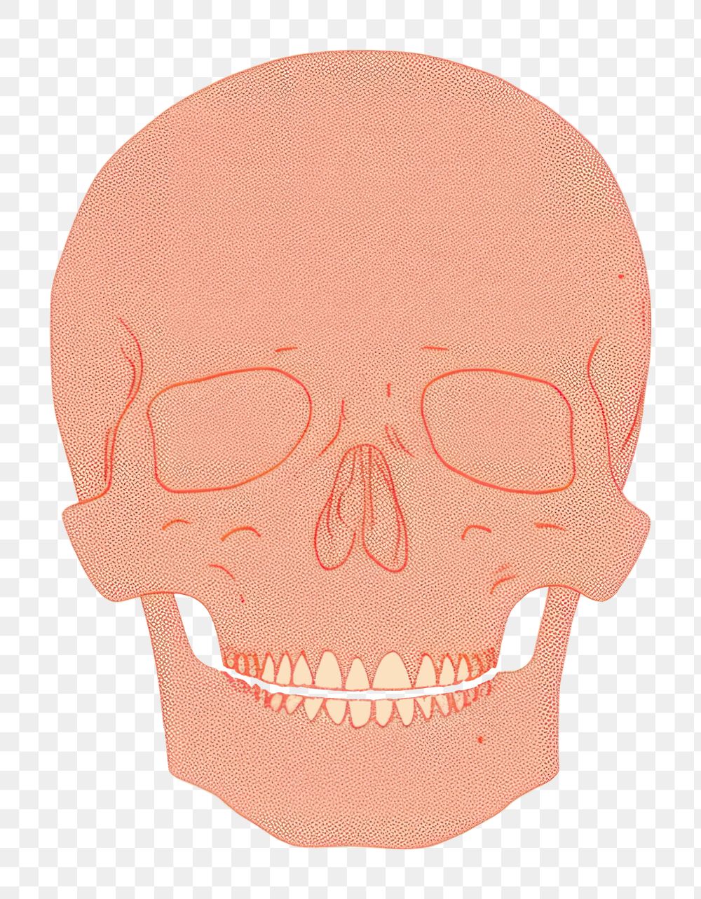 PNG Skull science cartoon sketch. | Free PNG - rawpixel