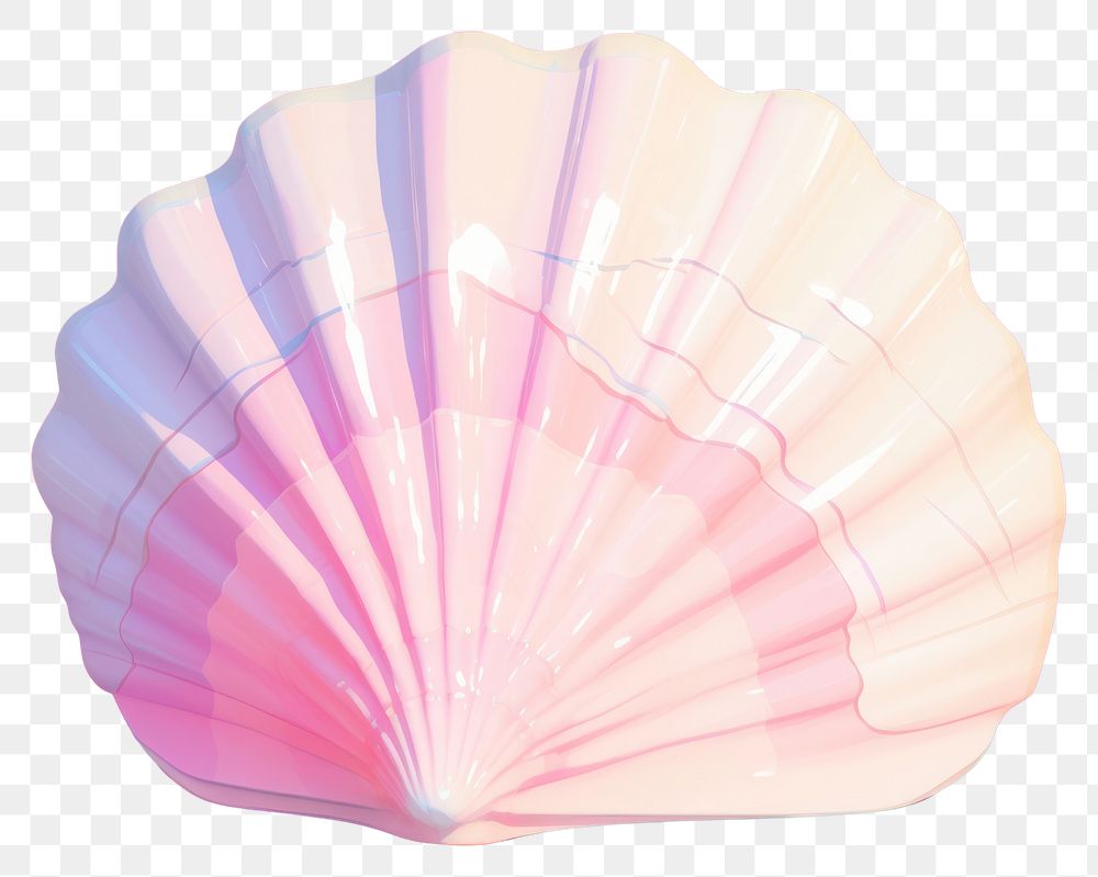 PNG sea shell seashell clam | Premium PNG - rawpixel