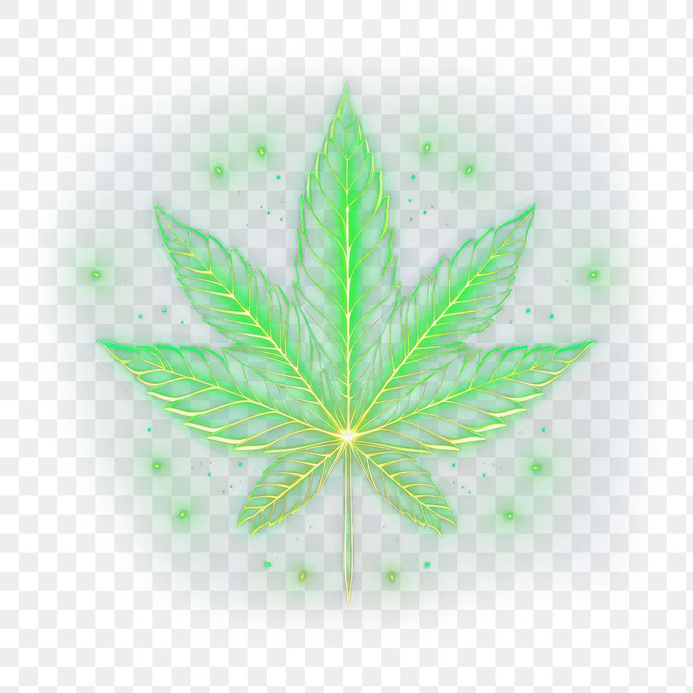 PNG Weed light plant night | Free PNG - rawpixel