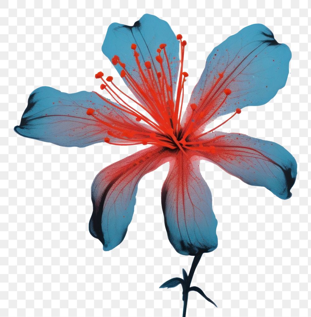 PNG Azalea flower hibiscus petal | Premium PNG - rawpixel