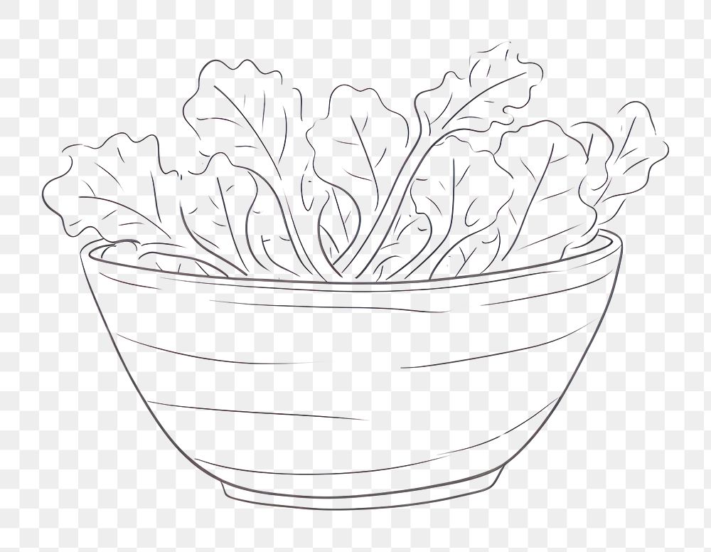 PNG Minimal illustration salad drawing | Premium PNG - rawpixel