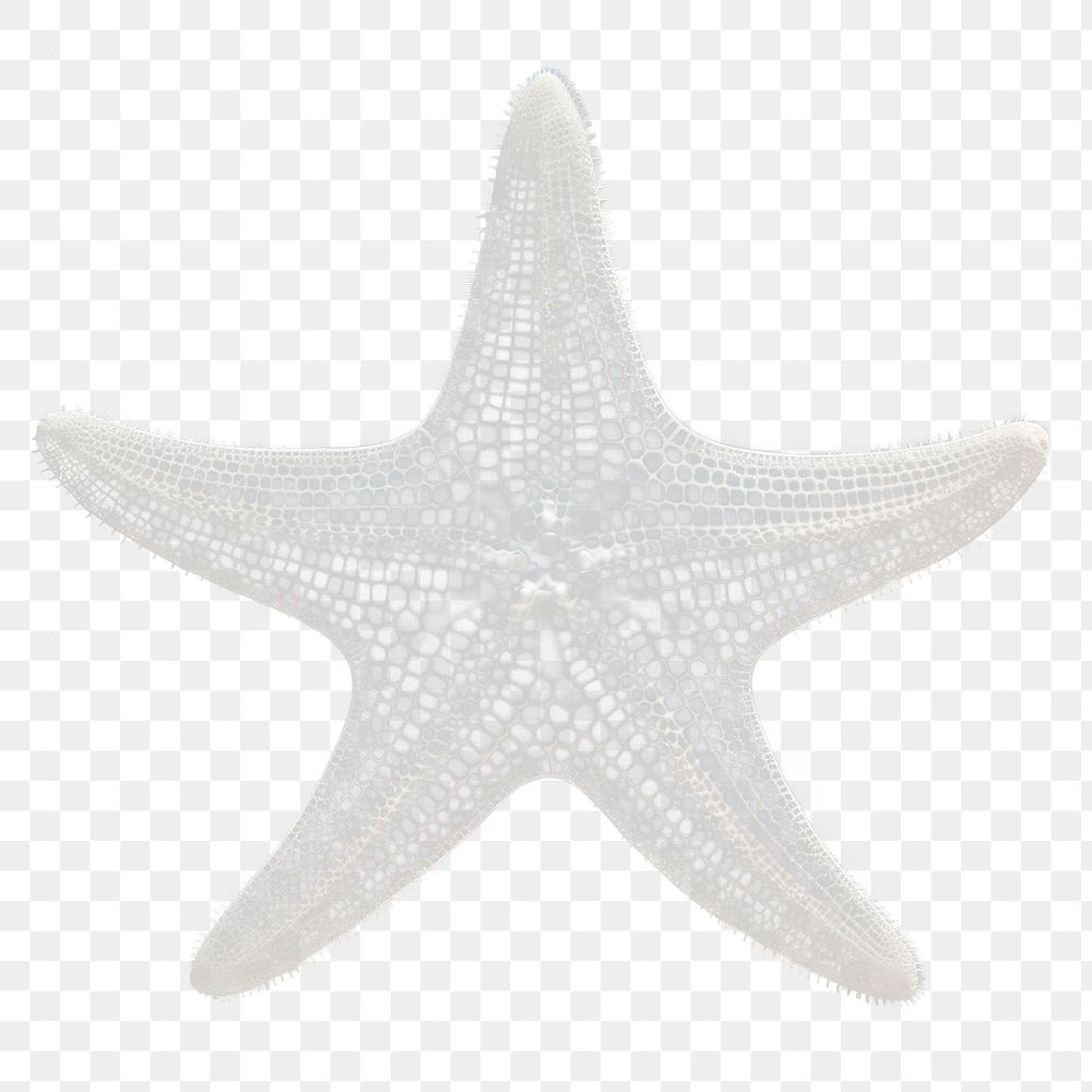 Medical Star Images | Free Photos, PNG Stickers, Wallpapers ...