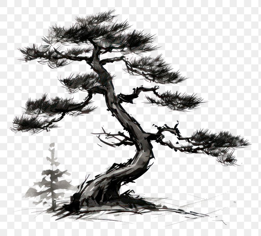 PNG Pine tree drawing sketch | Free PNG - rawpixel