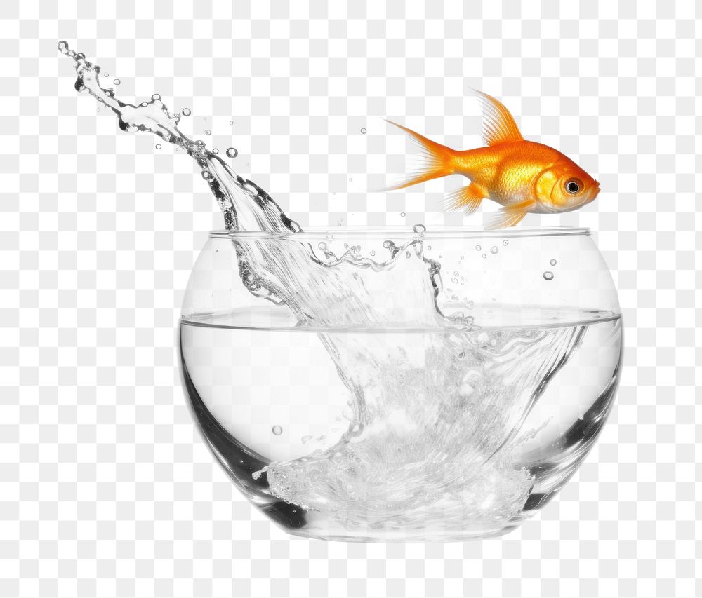 PNG Goldfish jumping fish bowl | Free PNG - rawpixel