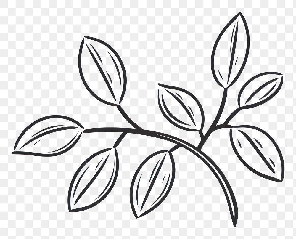 PNG Coffee beans drawing pattern | Free PNG - rawpixel