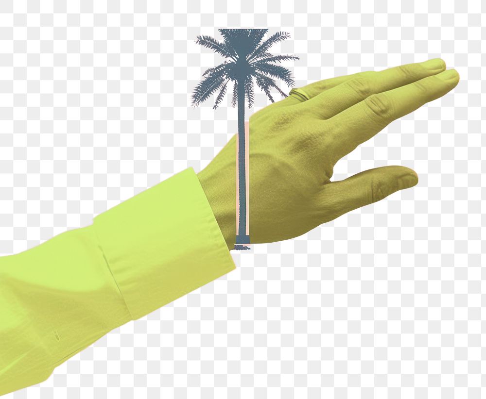 PNG Palm finger plant tree. | Free PNG - rawpixel
