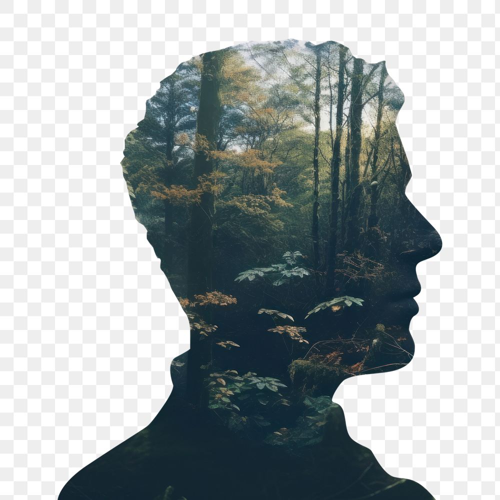PNG Man forrest woodland outdoors | Premium PNG - rawpixel