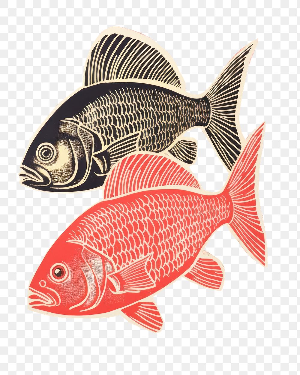 PNG Fish drawing animal nature. | Premium PNG - rawpixel