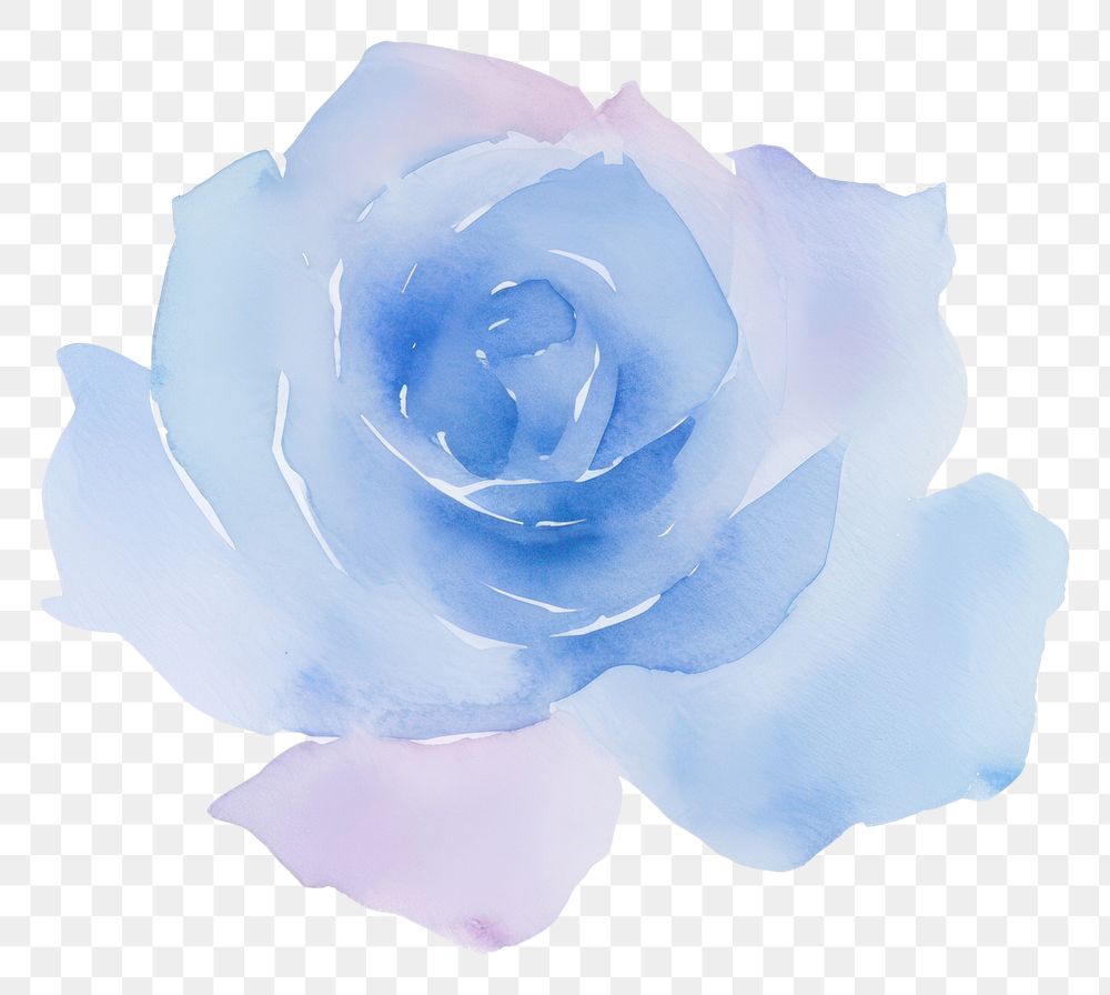 PNG Blue rose flower petal | Free PNG - rawpixel