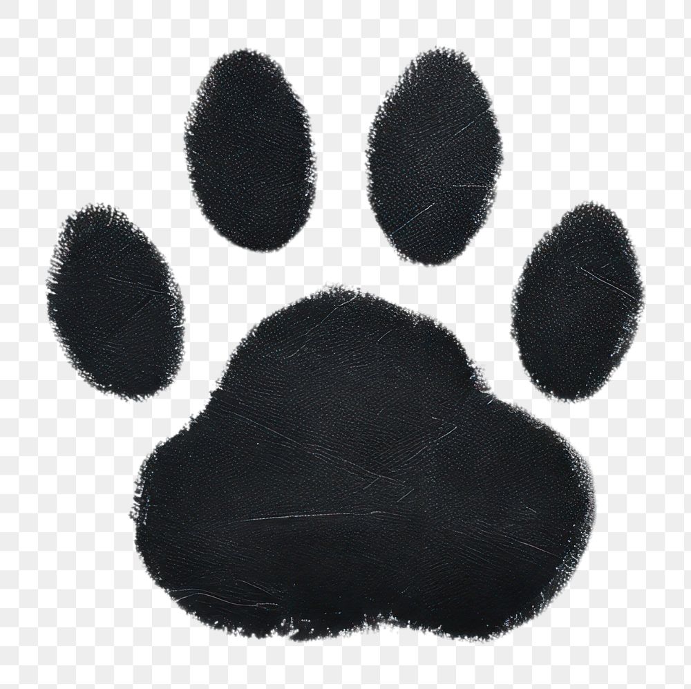 Cat Paw Leg Transparent Background Images | Free Photos, PNG Stickers ...