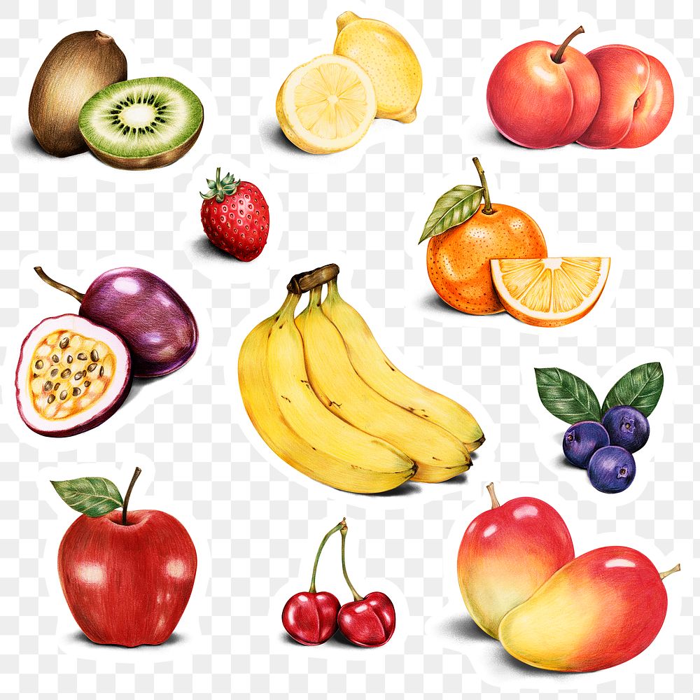 Vintage summer fruits illustration png | Premium PNG - rawpixel