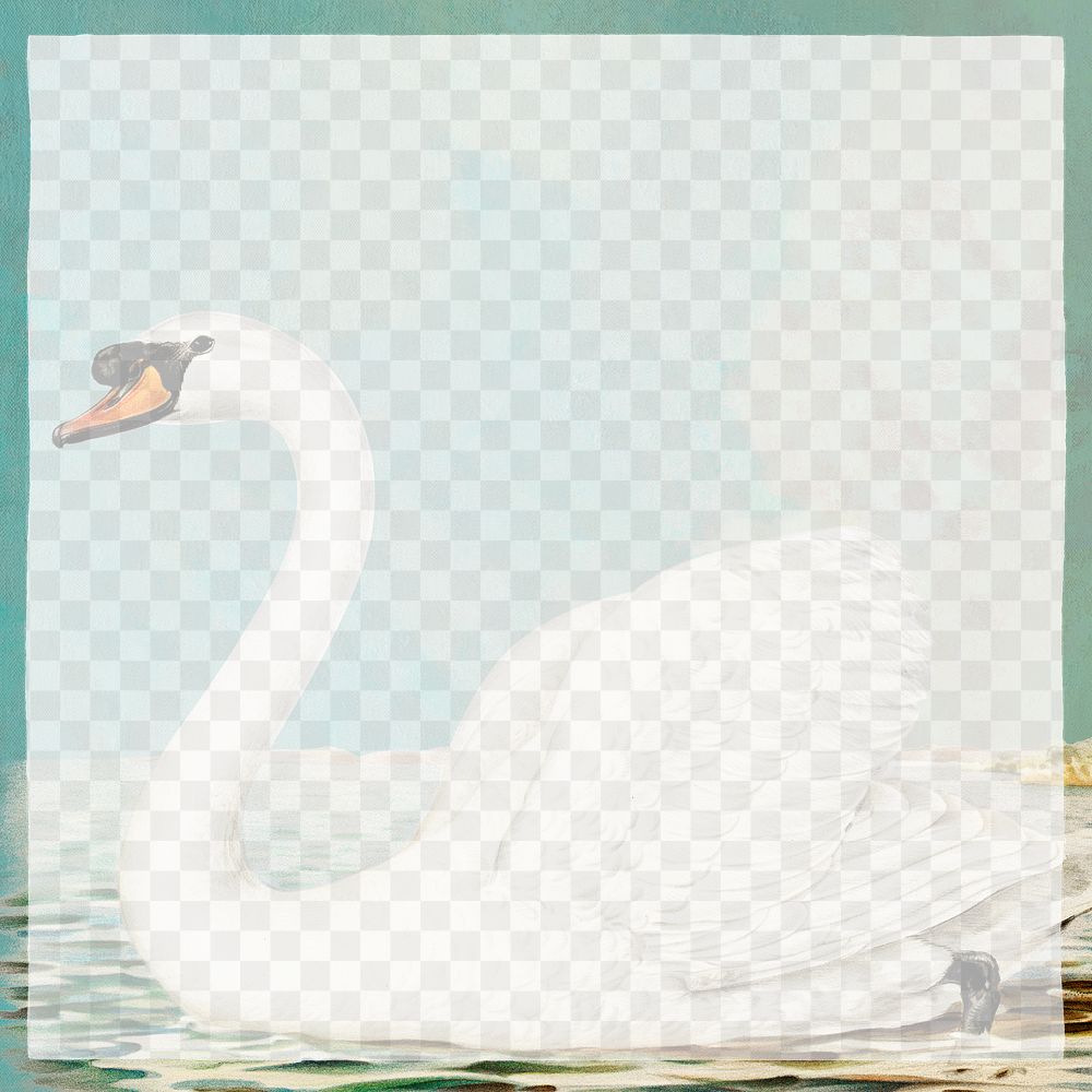 Swan frame png vintage detailed | Free PNG - rawpixel