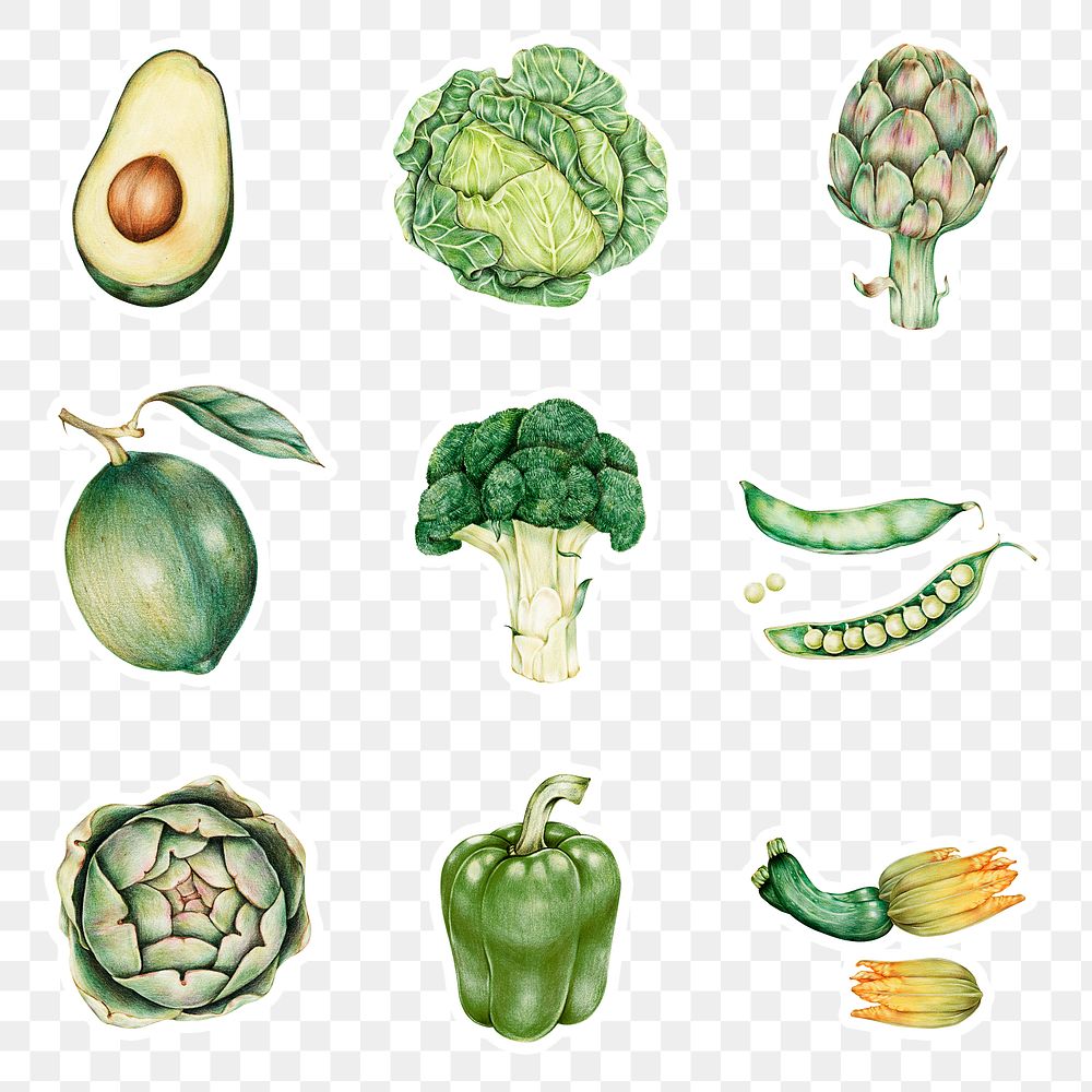 Green vegetables illustration png organic | Premium PNG - rawpixel