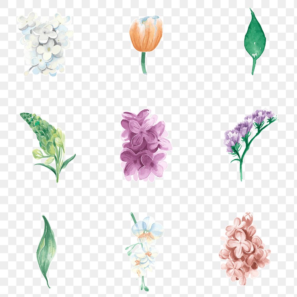 Hand drawn colorful plants png | Premium PNG - rawpixel