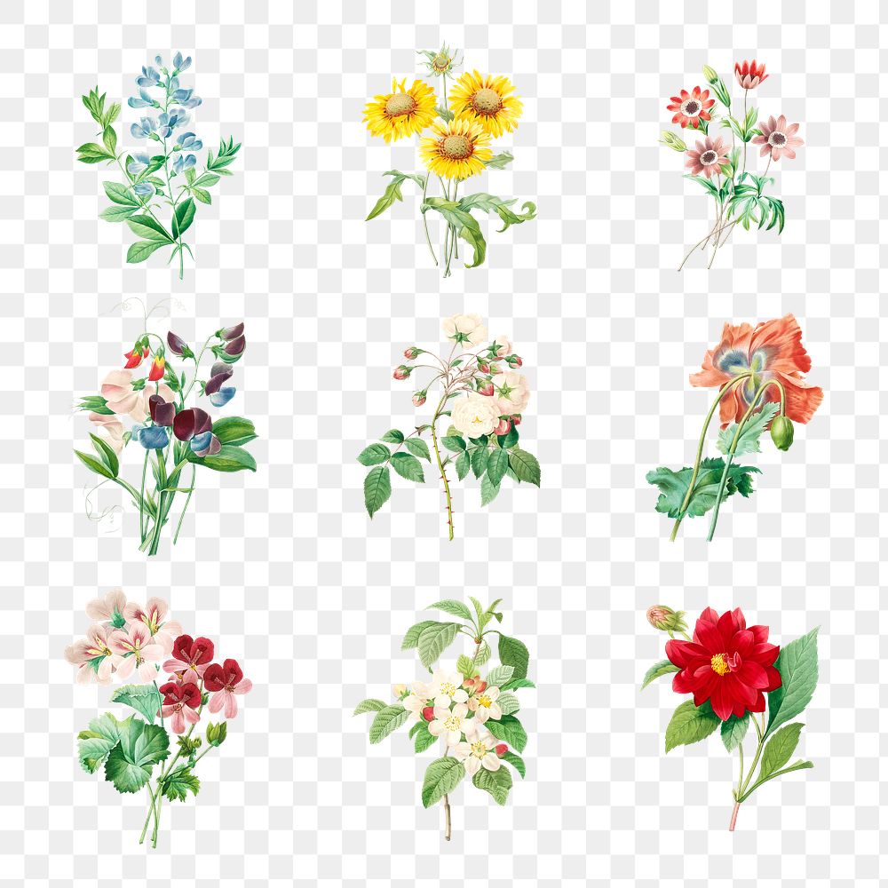 Flower sticker overlay design element | Premium PNG - rawpixel