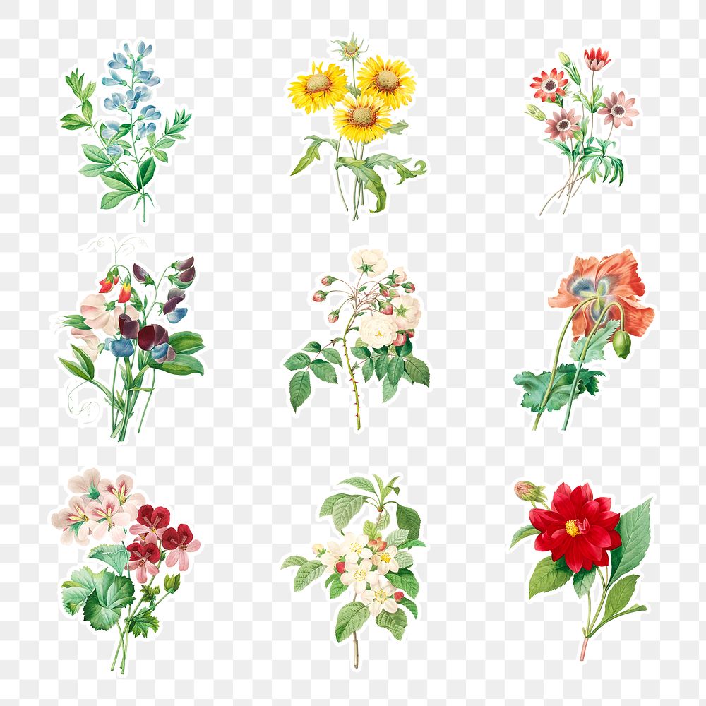 Flower sticker overlay design element | Premium PNG - rawpixel