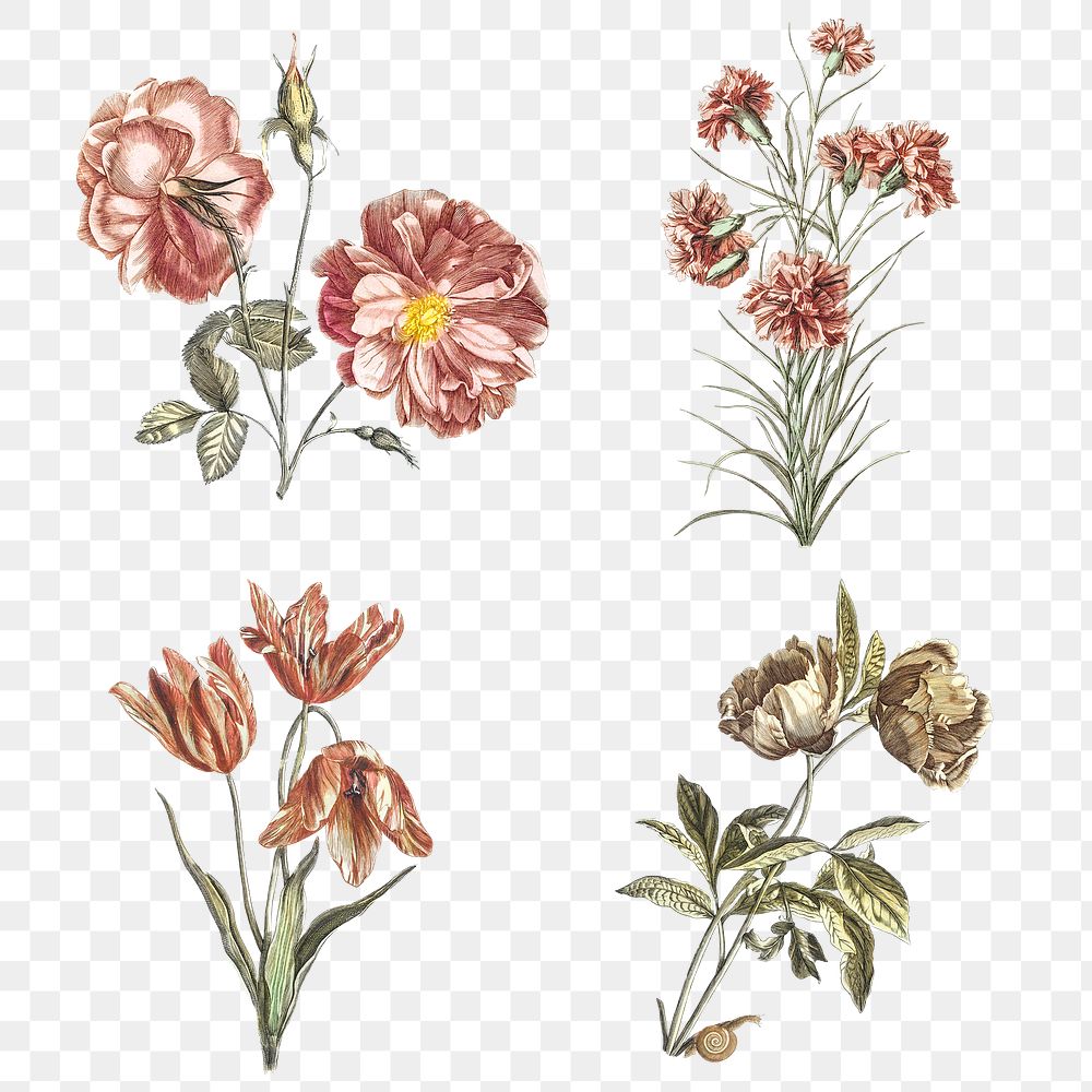 Hand drawn flower png sticker | Premium PNG - rawpixel