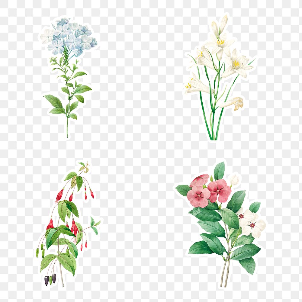 Flower sticker design element set | Premium PNG - rawpixel