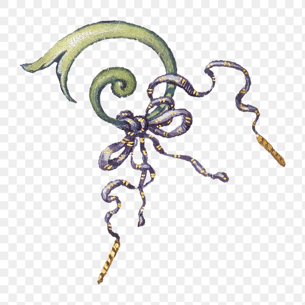 Heraldic blue and gold ribbon | Premium PNG Sticker - rawpixel